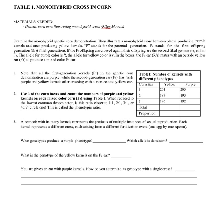Solved TABLE 1. MONOHYBRID CROSS IN CORN MATERIALS NEEDED: . | Chegg.com