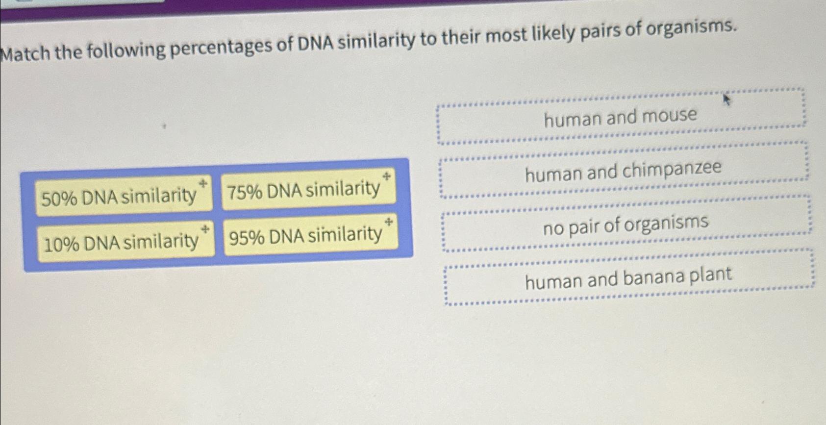 Solved Match the following percentages of DNA similarity to | Chegg.com