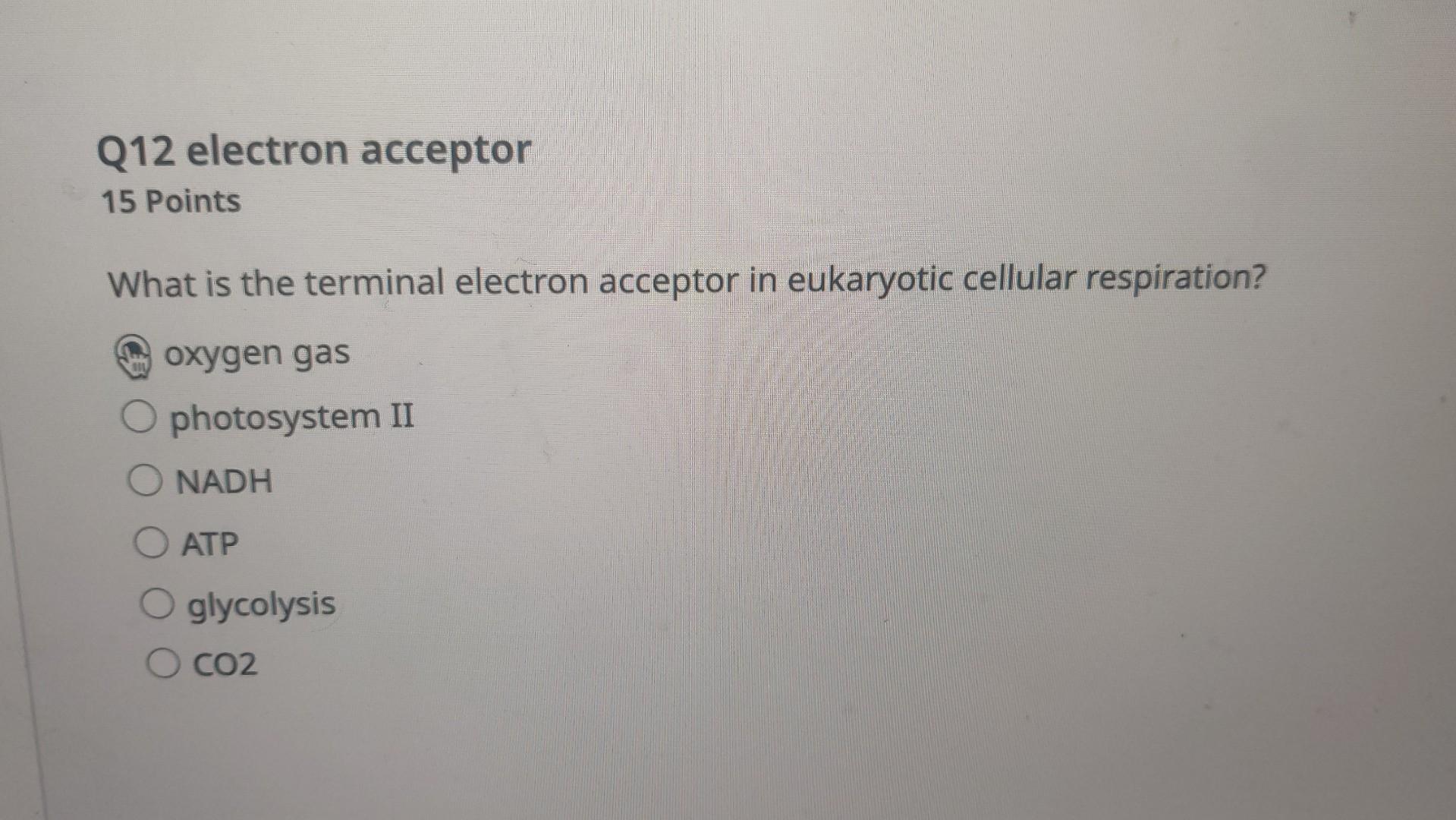 Solved Q12 electron acceptor 15 Points What is the terminal | Chegg.com