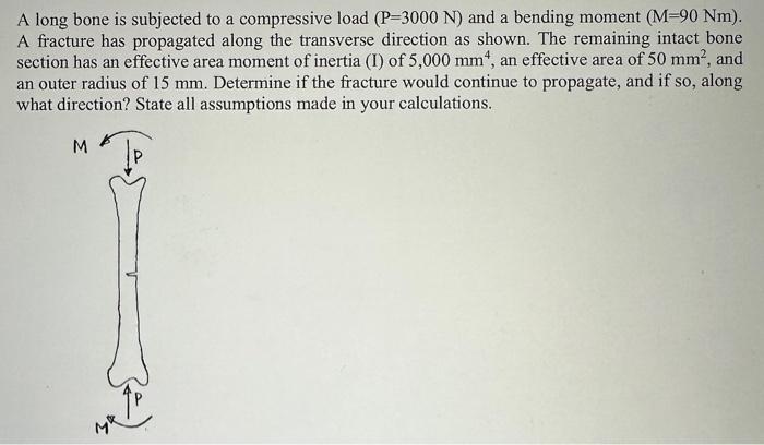 Solved A long bone is subjected to a compressive load ( | Chegg.com