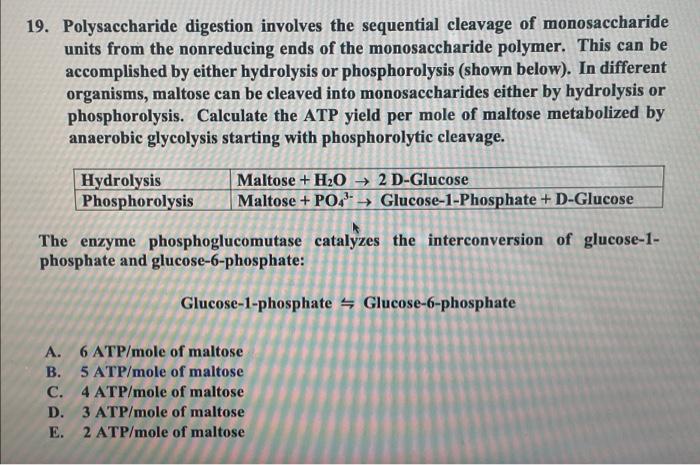 Solved 19. Polysaccharide digestion involves the sequential | Chegg.com