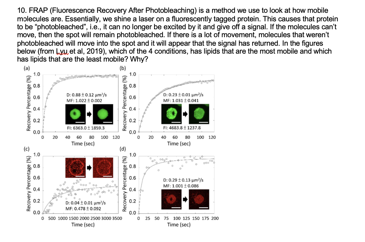 Solved FRAP (Fluorescence Recovery After Photobleaching) ﻿is | Chegg.com