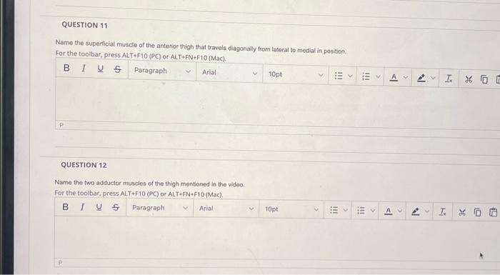 Solved What is the superficial vein called that branches off | Chegg.com