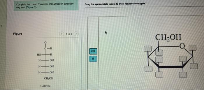 Solved Complete the aand anomer of Daltose in pyranose ring | Chegg.com
