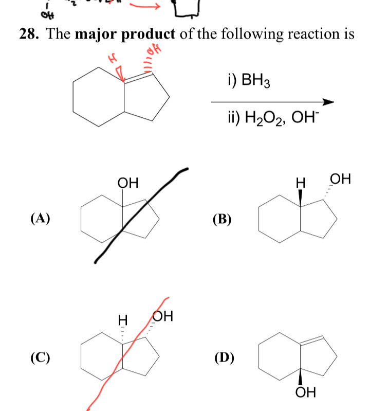 The major product of the following reaction | Chegg.com