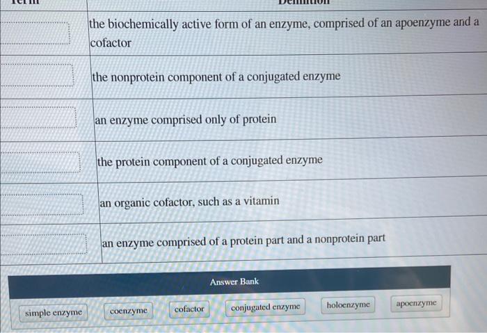 Solved the biochemically active form of an enzyme, comprised | Chegg.com