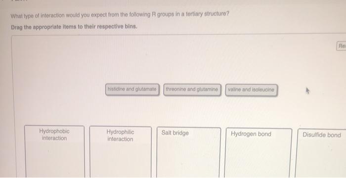 Solved What type of interaction would you expect from the | Chegg.com