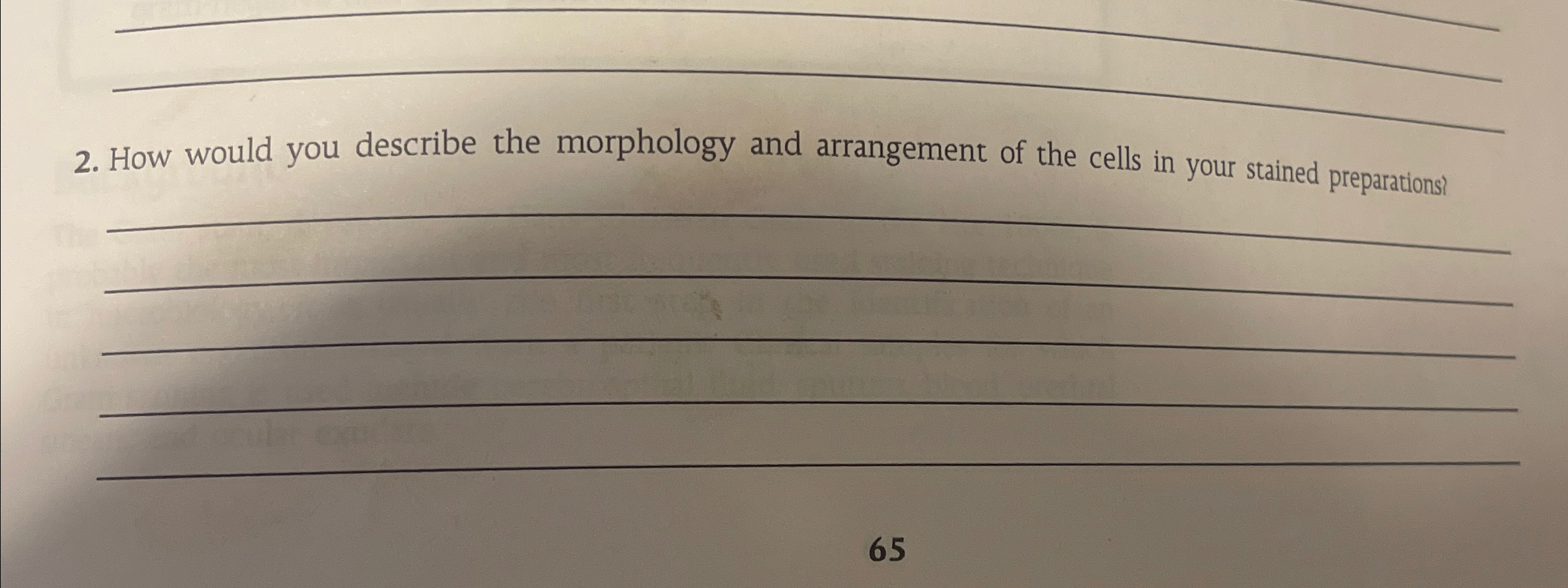 Solved How would you describe the morphology and arrangement | Chegg.com