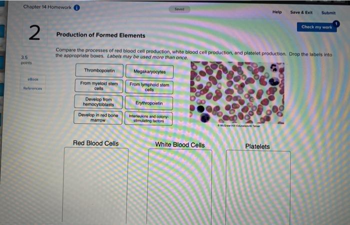 Solved Chapter 14 Homework Help Save & Exit Submit Check my | Chegg.com