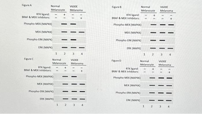 Solved argeted chemotherapy drugs have been developed that, | Chegg.com