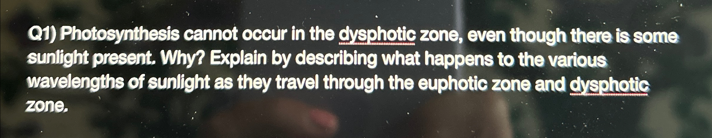 Solved Q1) ﻿Photosynthesis cannot ocour in the dysphotic | Chegg.com