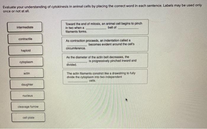 Solved Place the correct word(s) in each sentence to assess | Chegg.com