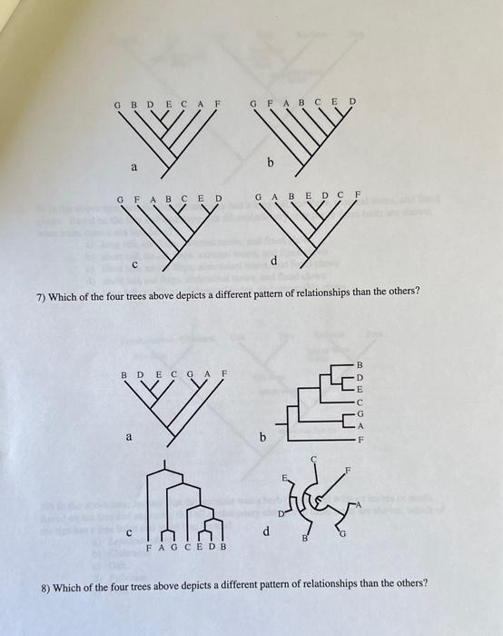 Solved 7) Which of the four trees above depicts a different | Chegg.com