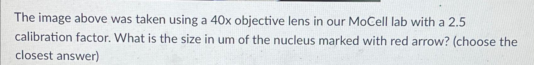 The image above was taken using a 40x ﻿objective lens | Chegg.com