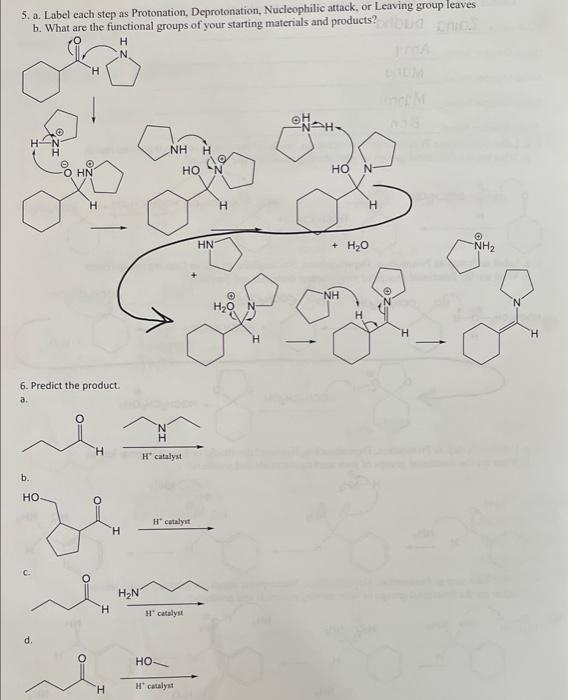 Solved 5. a. Label each step as Protonation, Deprotonation, | Chegg.com