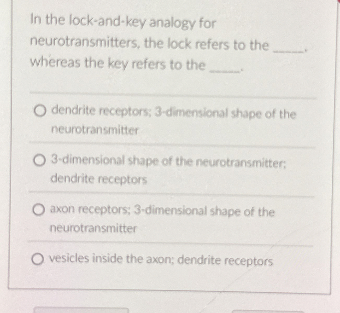 Solved In the lock-and-key analogy forneurotransmitters, the | Chegg.com