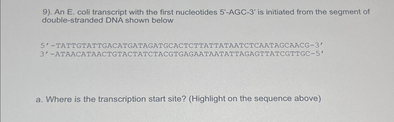 Solved . ﻿An E. ﻿coli transcript with the first nucleotides | Chegg.com