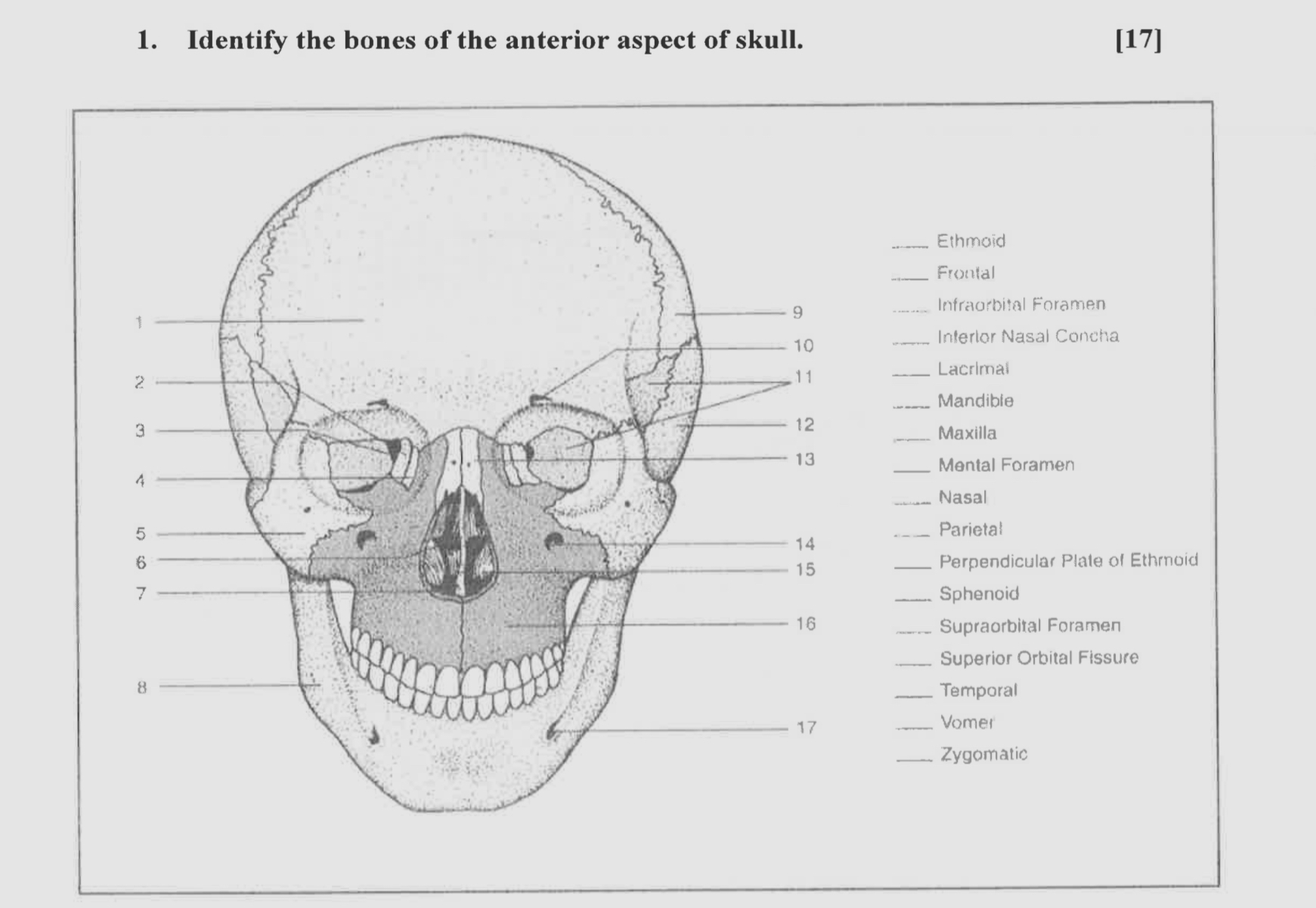 Solved Identify the bones of the anterior aspect of | Chegg.com