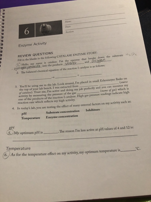 Solved Nam 6 Section AR Enzyme Activity REVIEW QUESTIONS | Chegg.com
