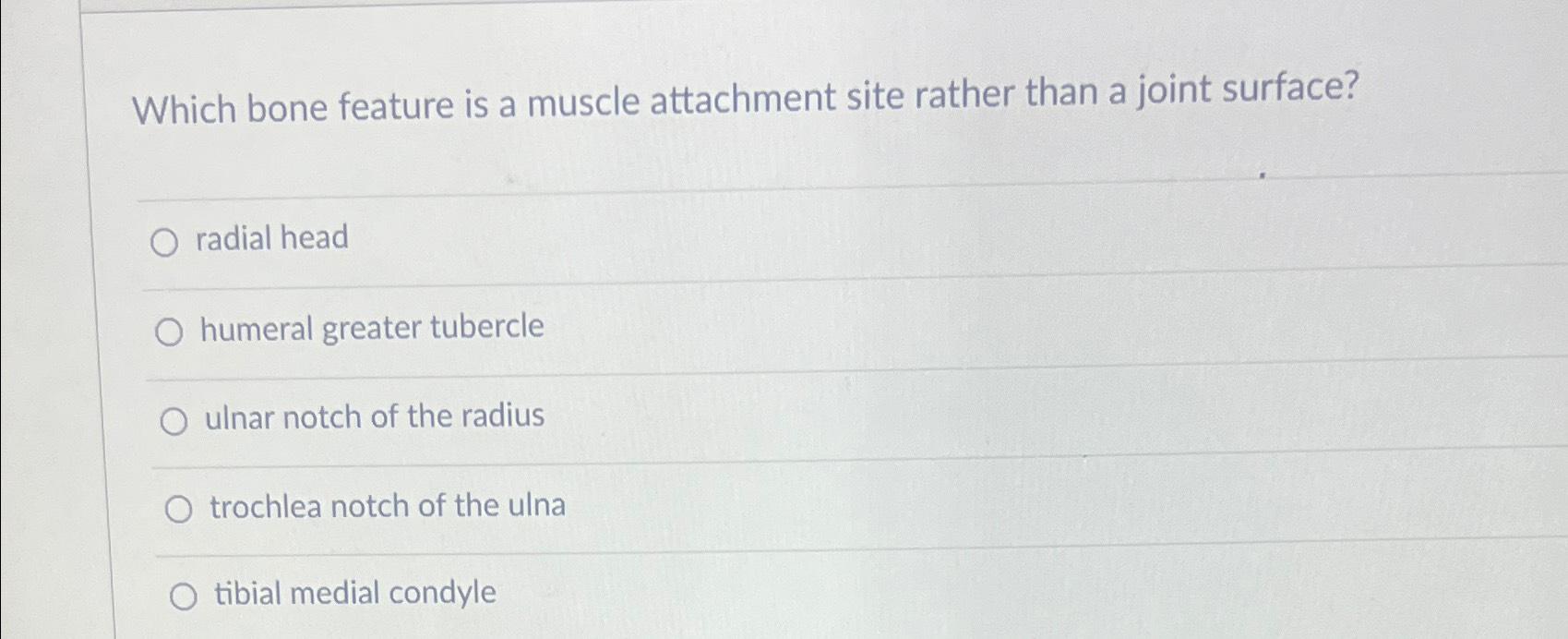 Solved Which bone feature is a muscle attachment site rather | Chegg.com