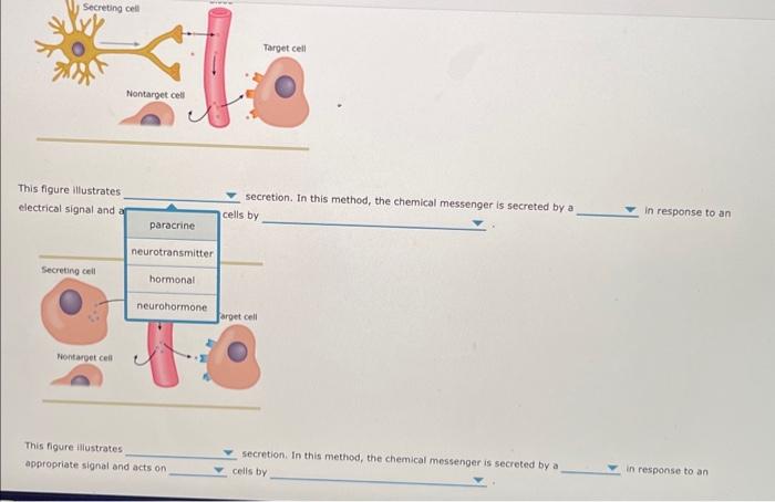 Solved 6. Overview of intercell communication In a | Chegg.com