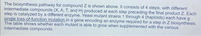 Solved X A T H ZThe biosynthesis pathway for compound Z is | Chegg.com