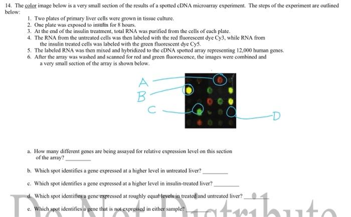Solved 14. The color image below is a very small section of | Chegg.com