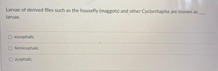 Solved Flies with a puparium but no frontal suture or | Chegg.com
