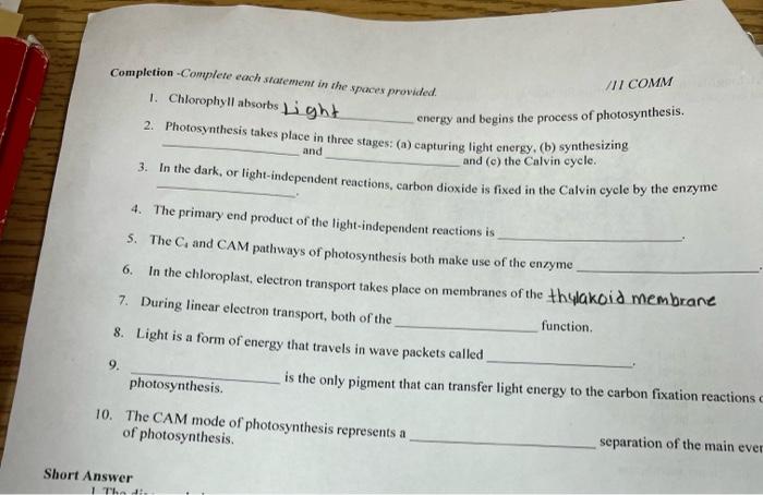 Solved Completion -Complete each statement in the spacer | Chegg.com