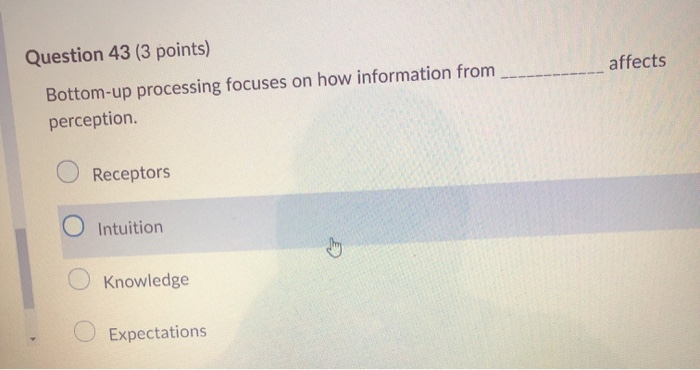 Solved Question 43 (3 points) Bottom-up processing focuses | Chegg.com
