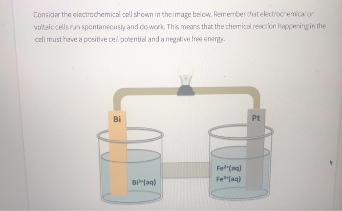 Solved Fill in the Blanks Now let's find the cell | Chegg.com