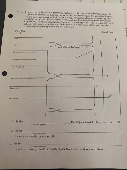 BOY 11 14. a. Below is part of the wall of a | Chegg.com