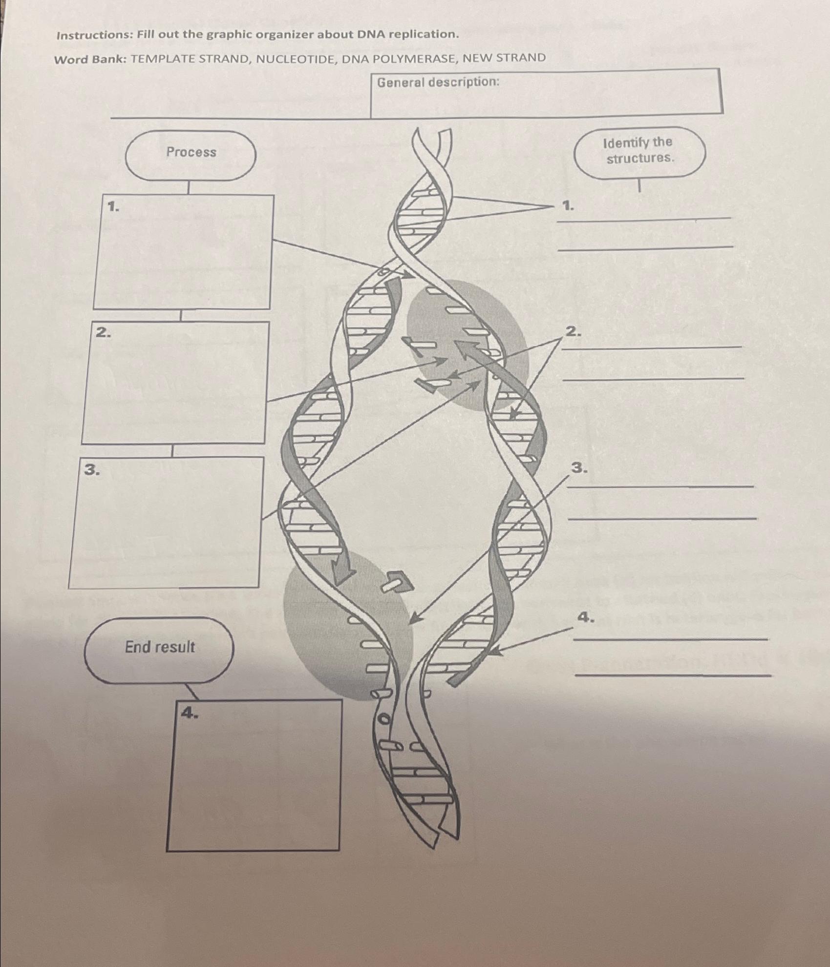 Solved Instructions: Fill out the graphic organizer about | Chegg.com