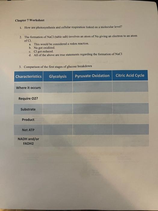 Solved Chapter 7 Worksheet 1. How are photosynthesis and | Chegg.com