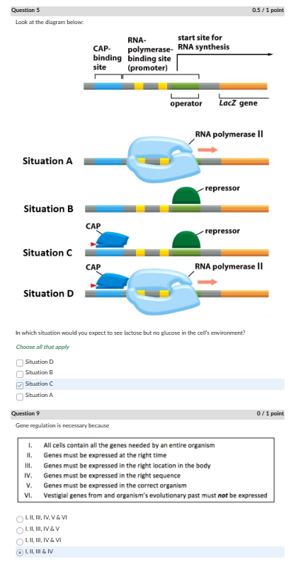 Solved Please Correct The Incorrect Answers Below. I Will | Chegg.com