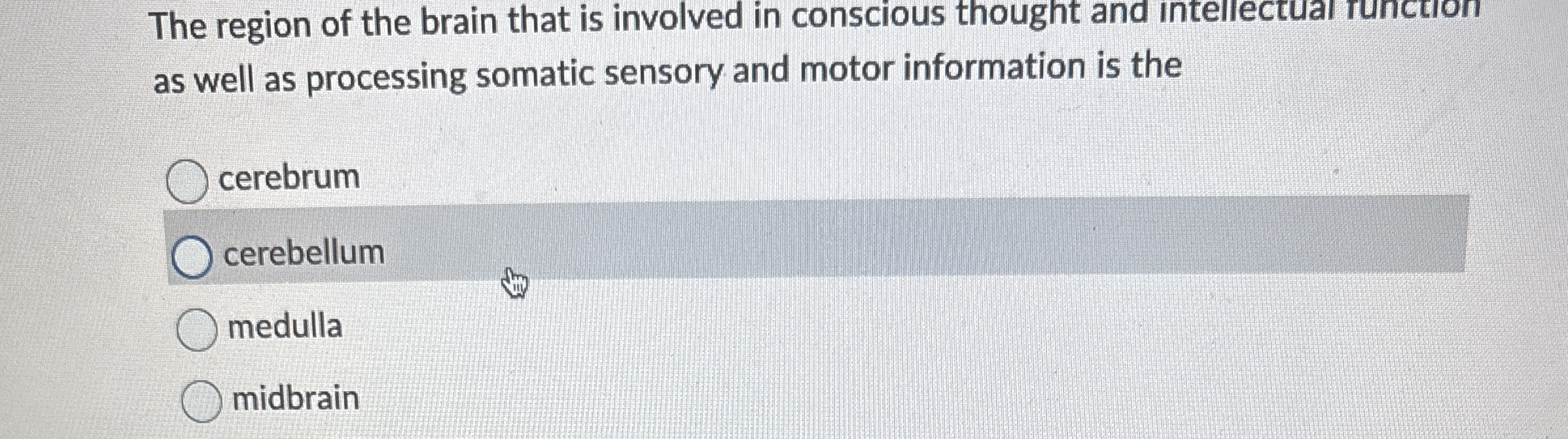 Solved The region of the brain that is involved in conscious | Chegg.com