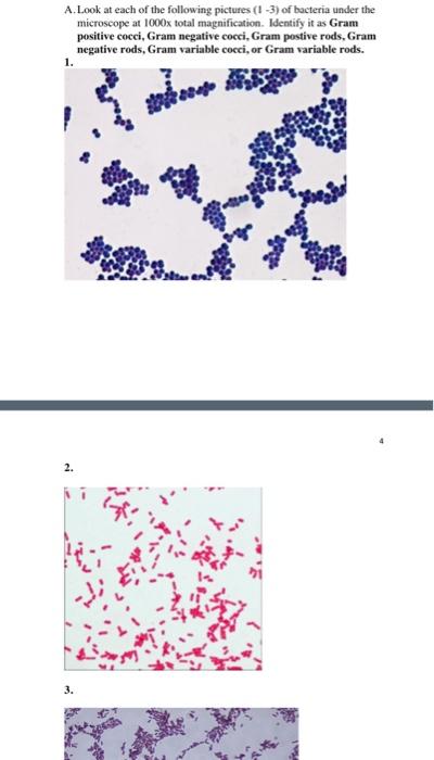 Solved A. Look at each of the following pictures (1−3) of | Chegg.com