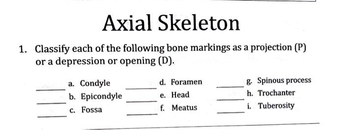 Solved Classify each of the following bone markings as a | Chegg.com