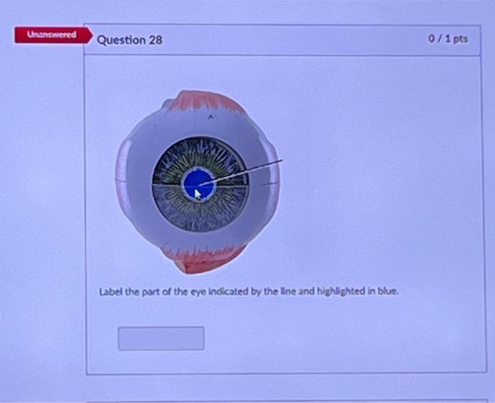 Solved Label the part of the eye indicated by the line and | Chegg.com