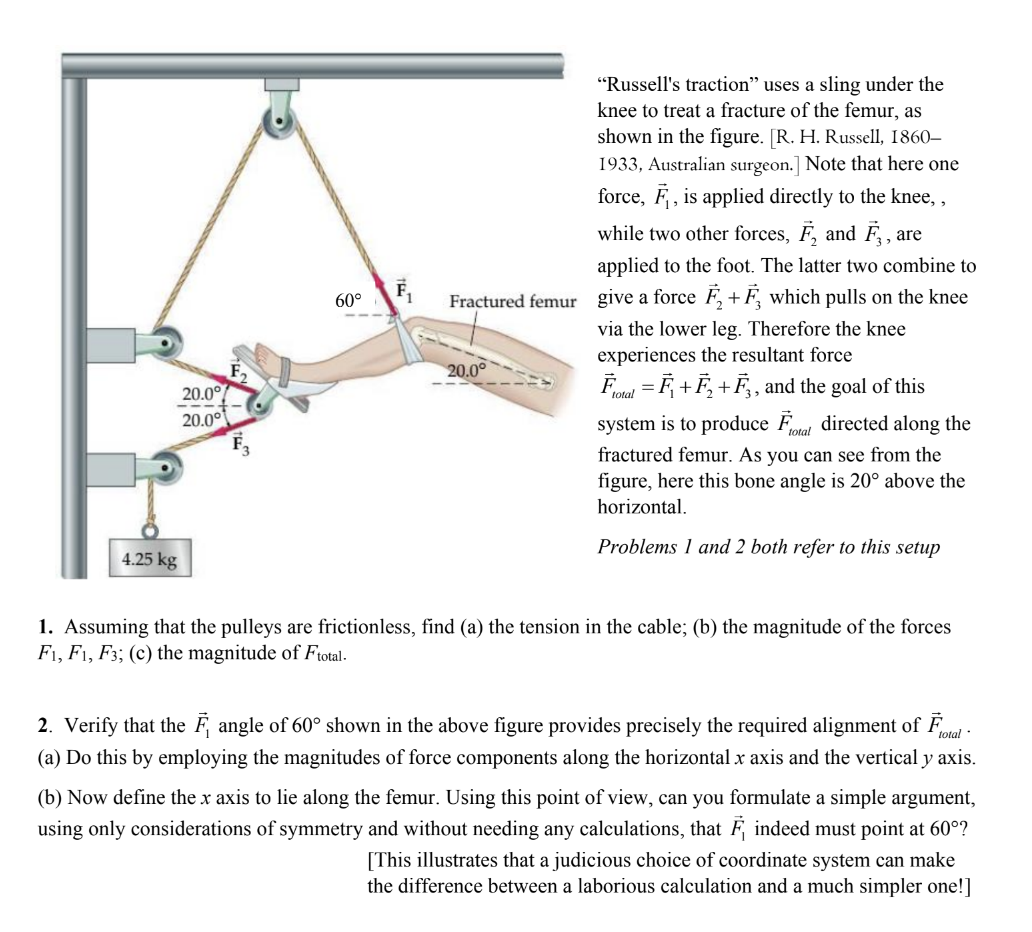 Solved "Russell's traction" uses a sling under theknee to | Chegg.com