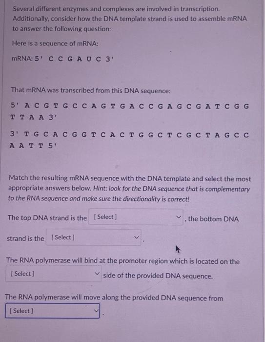 Solved answers for first two blanks are either "template | Chegg.com