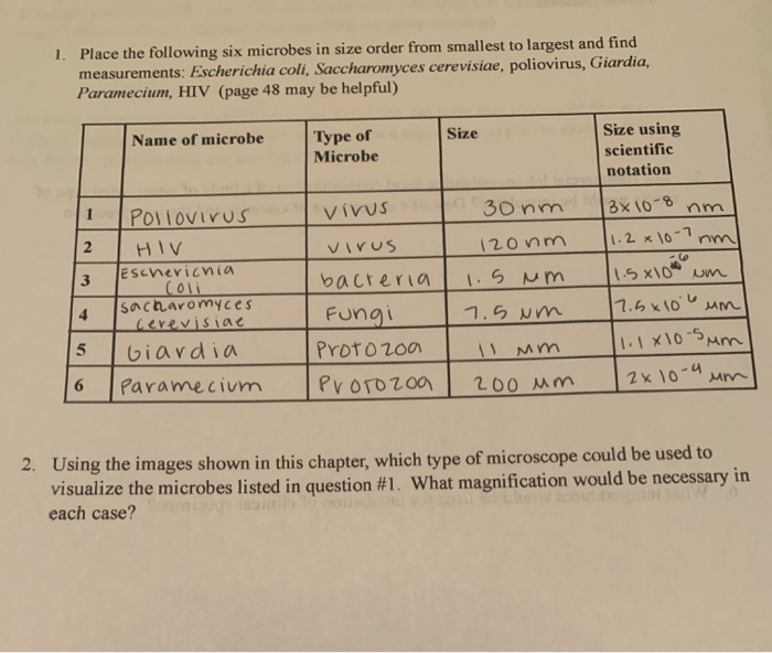 Solved 1. Place the following six microbes in size order | Chegg.com