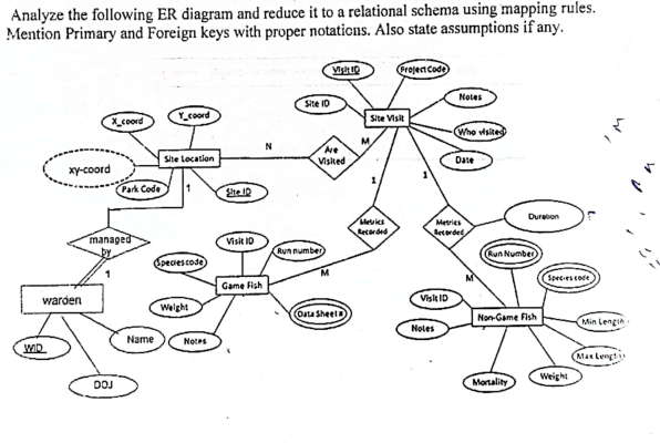 Solved Analyze the following ER diagram and reduce it to a | Chegg.com