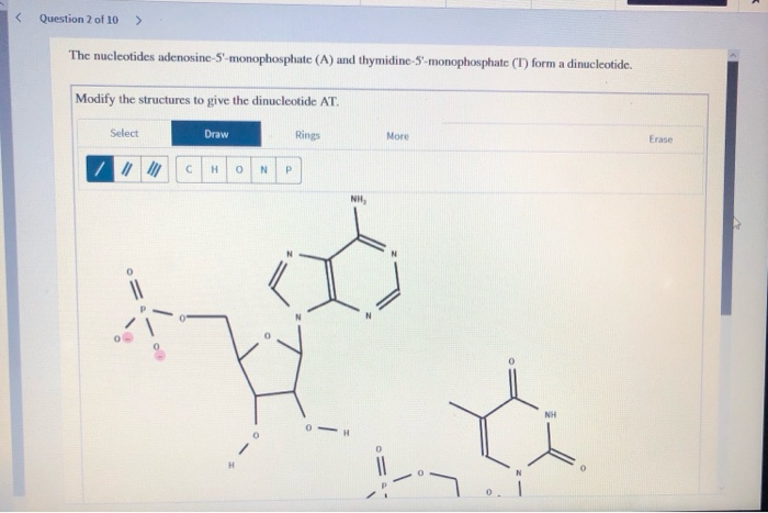 Solved Question 2 of 10 > The nucleotides adenosine 5'- | Chegg.com