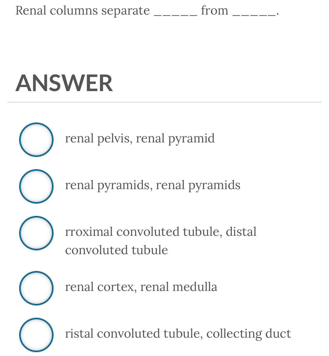 Solved Renal columns separate q, ﻿fromANSWERrenal pelvis, | Chegg.com