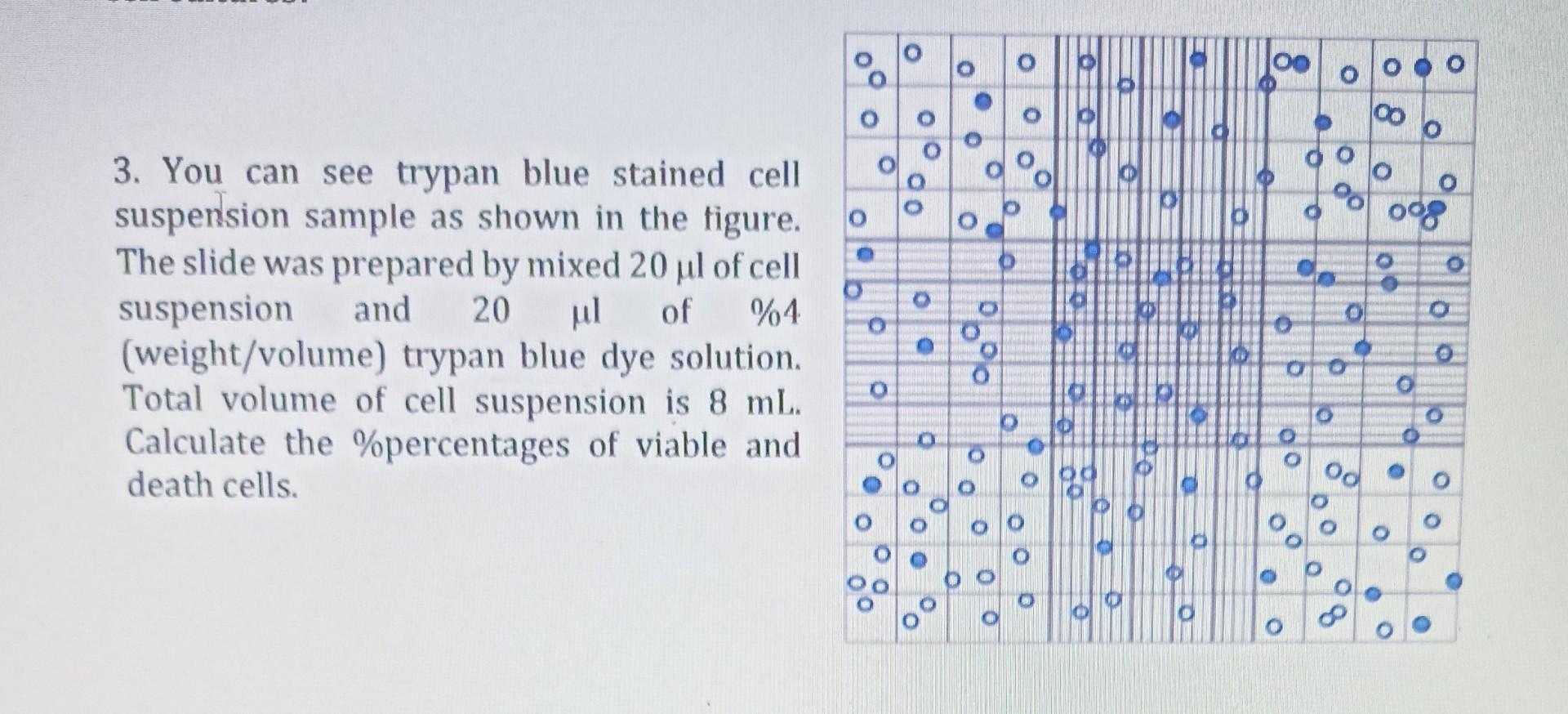 3. You can see trypan blue stained cell suspension | Chegg.com