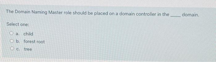 Solved The Domain Naming Master role should be placed on a | Chegg.com