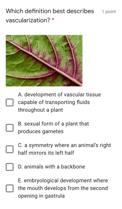 Solved 1 point What is the best definition of alternation of | Chegg.com