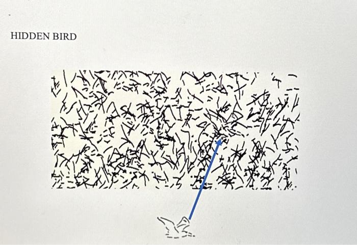 Solved Hidden Bird illusionWhere moght we see this Illusion | Chegg.com