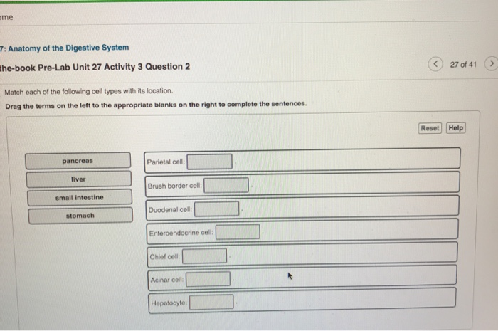 Solved 7: Anatomy of the Digestive System the-book Pre-Lab | Chegg.com